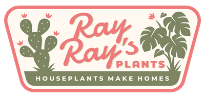 30OffLocal. Ray Ray's Plants